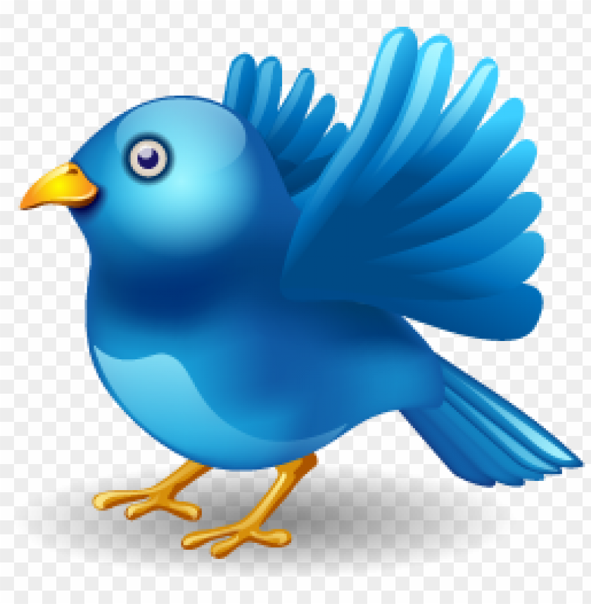 Free download | HD PNG cartoon blue twitter bird png | TOPpng