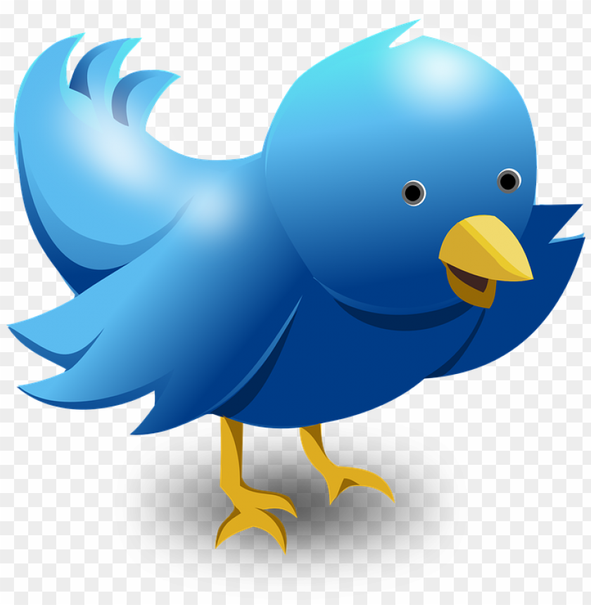 Free download | HD PNG animated blue twitter bird png | TOPpng