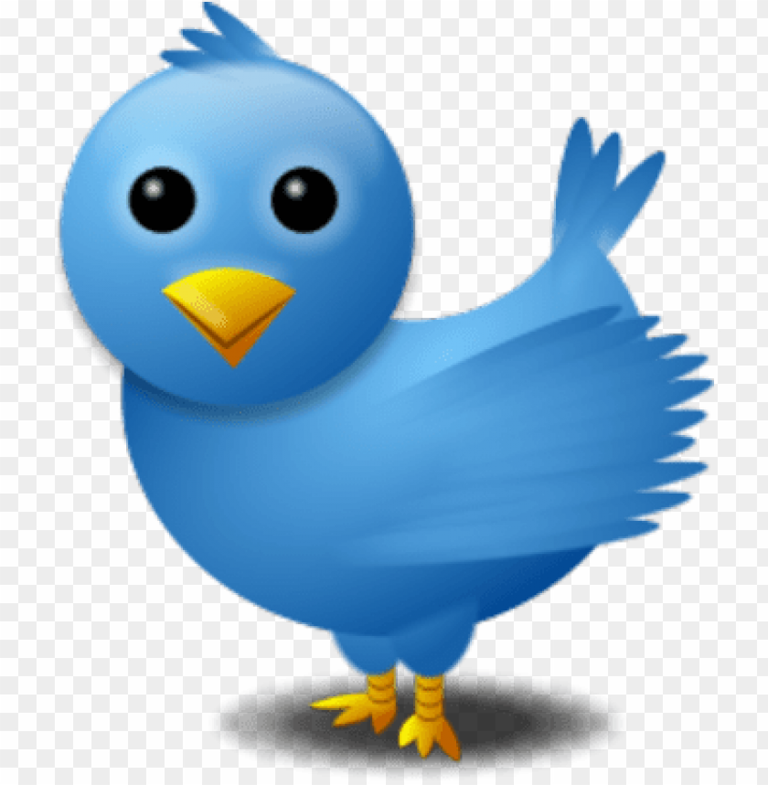 Free download | HD PNG twitter search PNG transparent with Clear ...