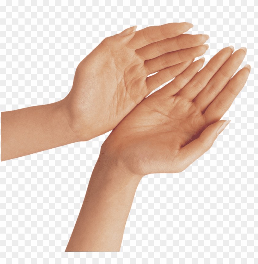 Free download | HD PNG two hands clipart png photo - 48243 | TOPpng