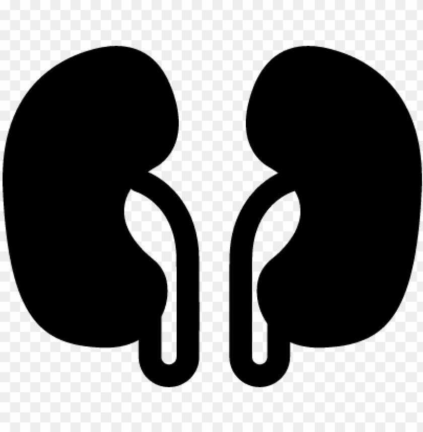 Free download | HD PNG two kidneys vector urology logo vectors free ...