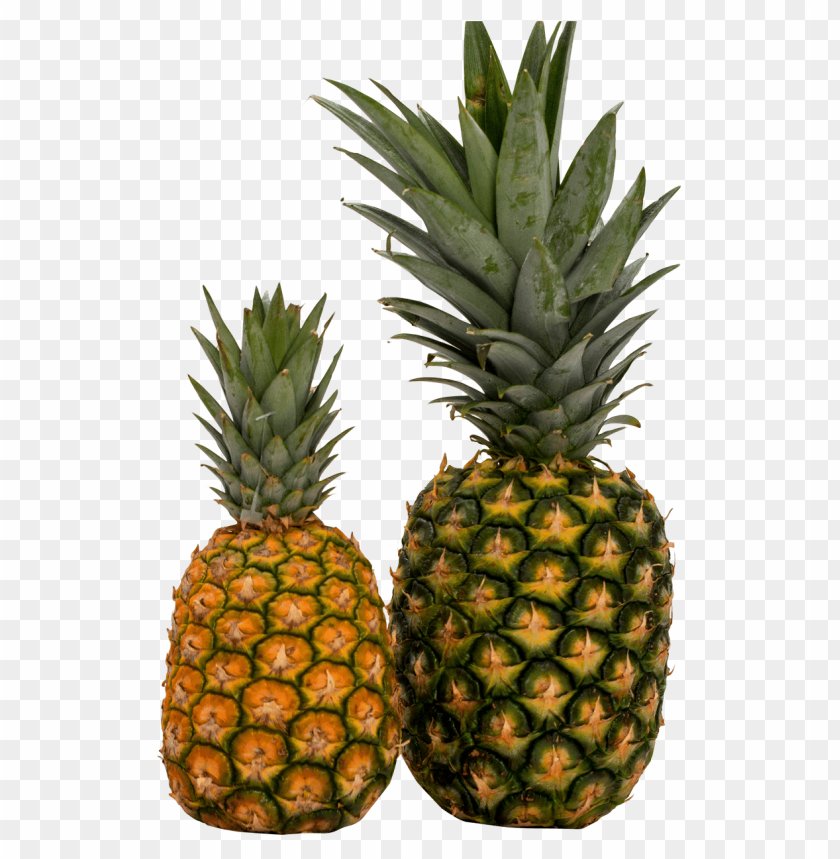 Free download | HD PNG two pineapple PNG images with transparent ...