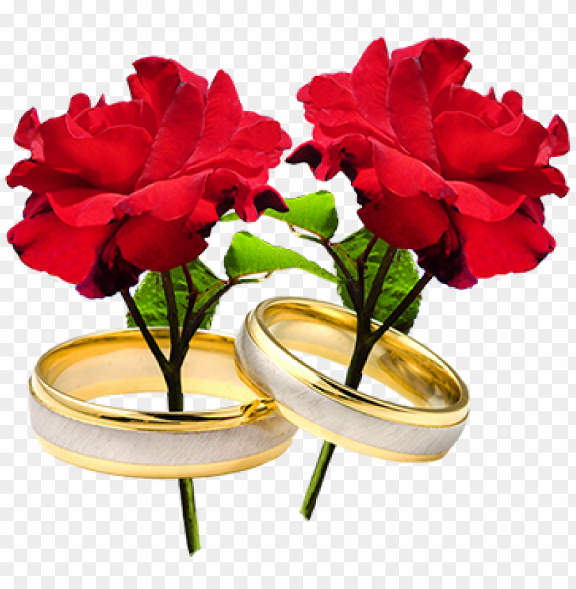 Gold Wedding Ring PNG FREE Vector Design Cdr, Ai, EPS, PNG,, 43% OFF