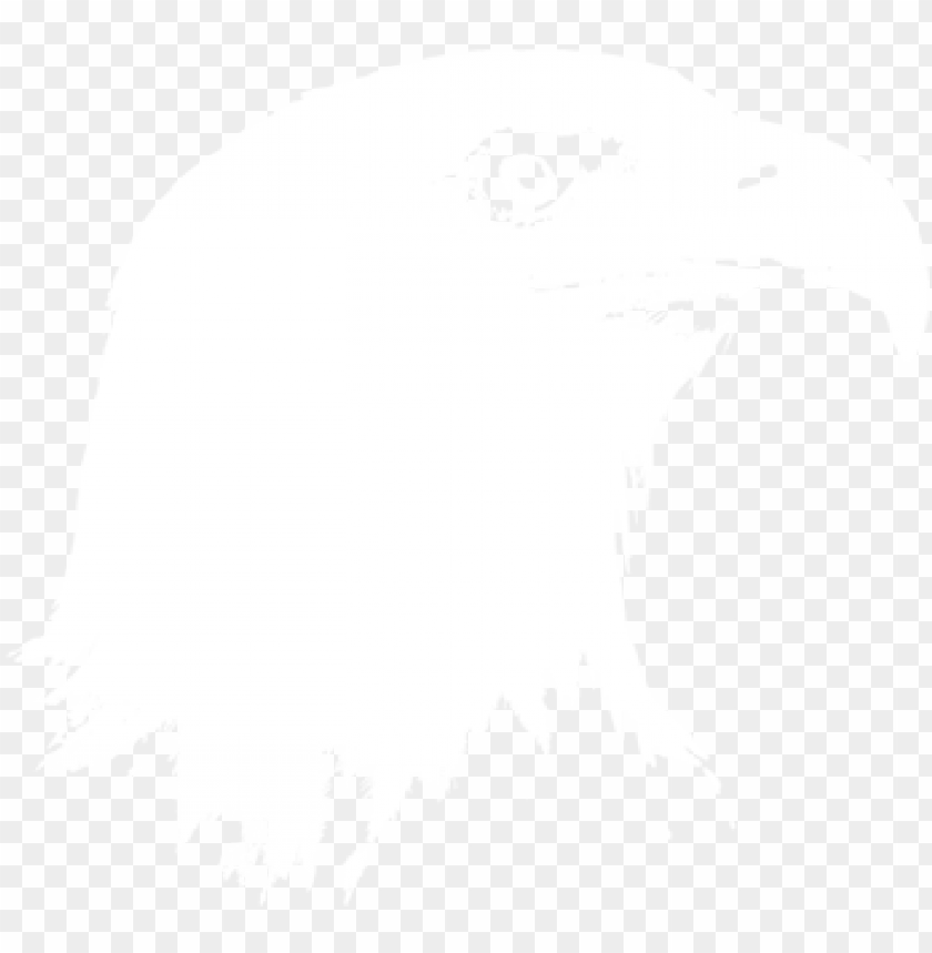 Free download | HD PNG types of bird in the taiga PNG transparent with ...