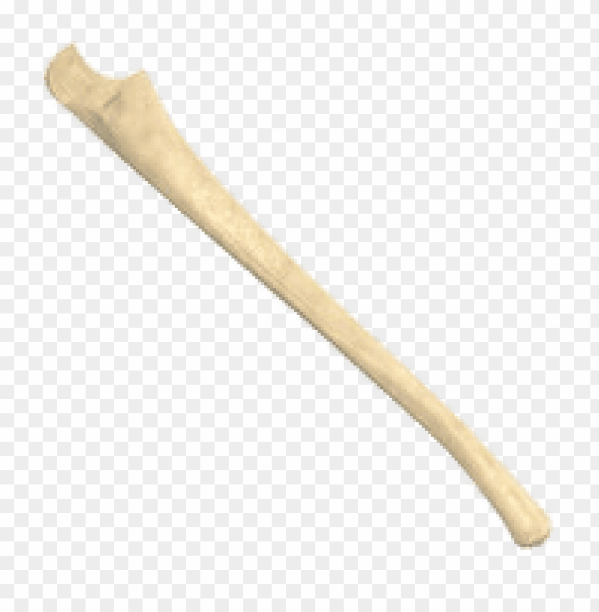 Free download | HD PNG Transparent background PNG image of ulna bone ...