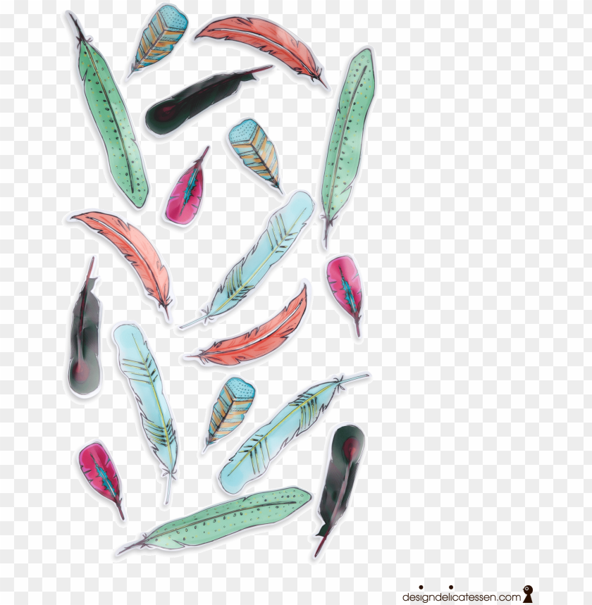 Free download | HD PNG umbra feather PNG transparent with Clear Background ID 242708 | TOPpng