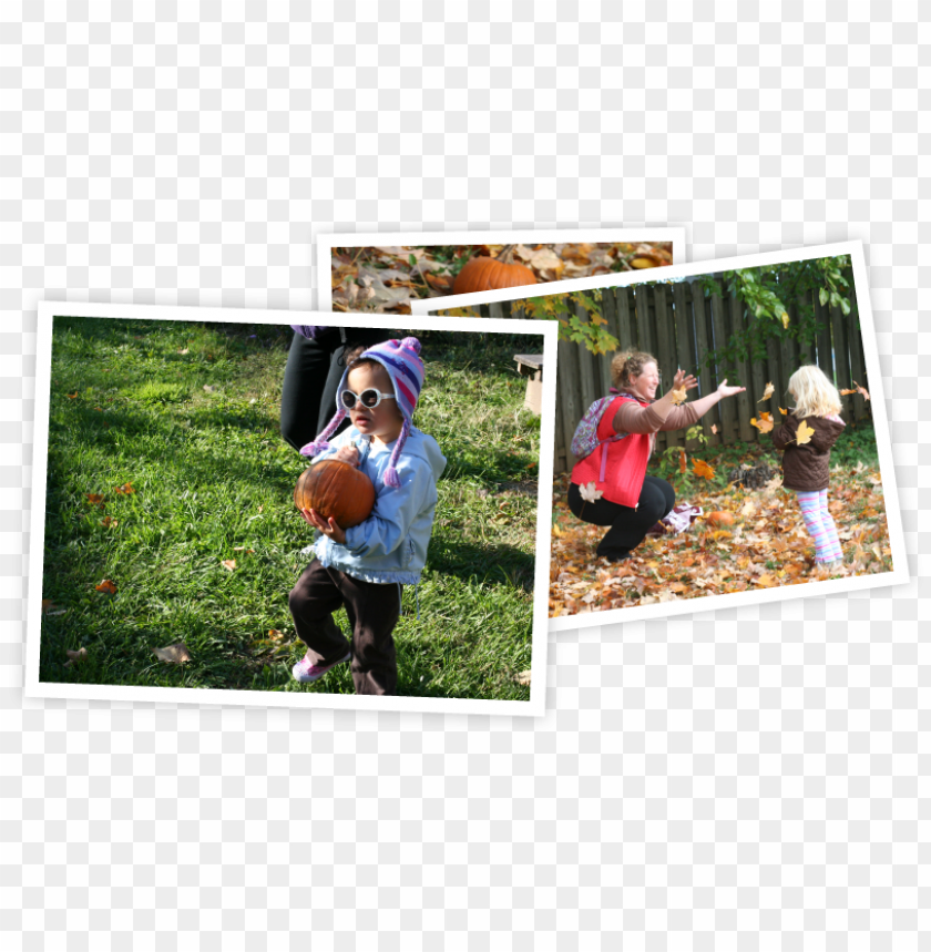 Free download | HD PNG umpkin patch parade PNG transparent with Clear ...