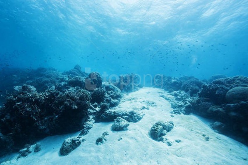 Free download | HD PNG deep underwater sea exploration 4k background ...