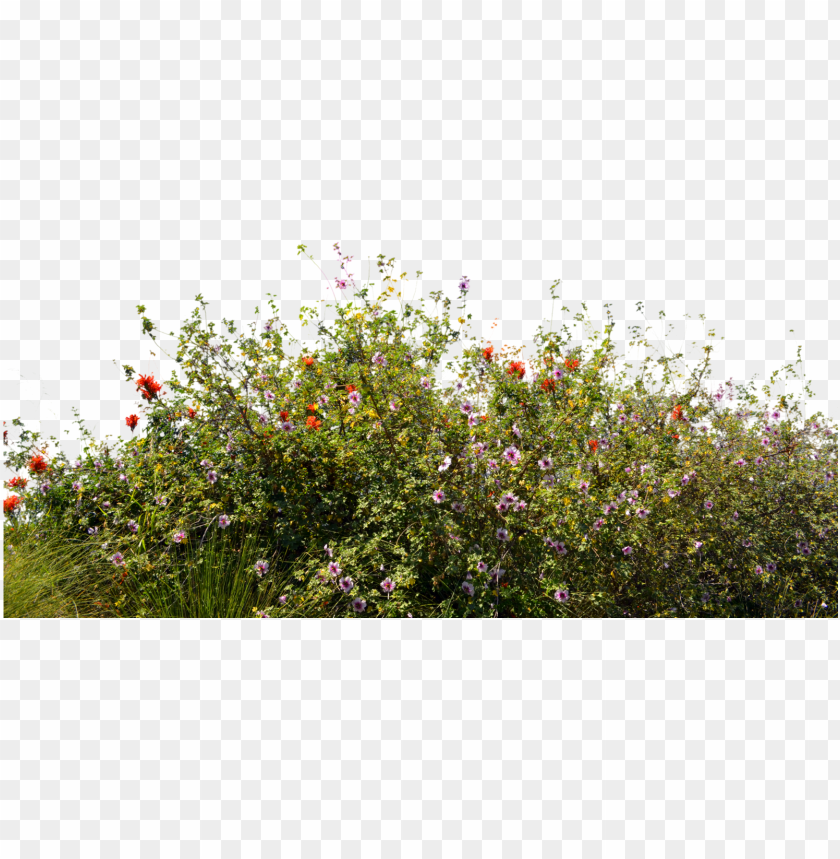 Free download | HD PNG unrestricted and commercial friendly stock ...