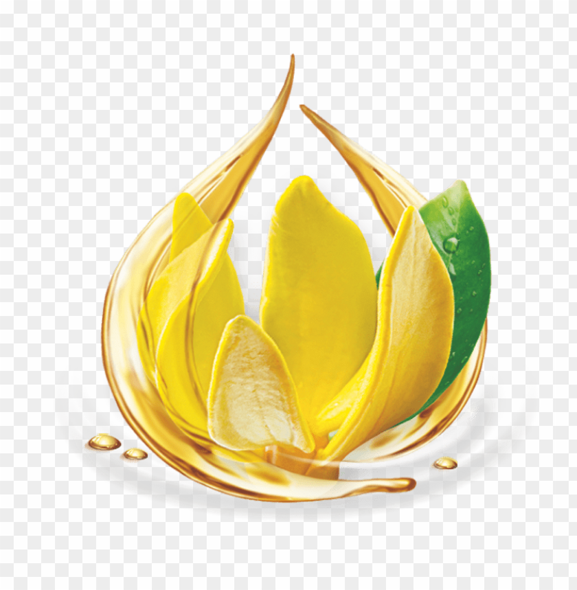 Free download | HD PNG vanilla png PNG transparent with Clear ...