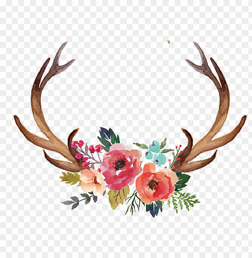 Free download | HD PNG vector download antler flower moose clip art ...