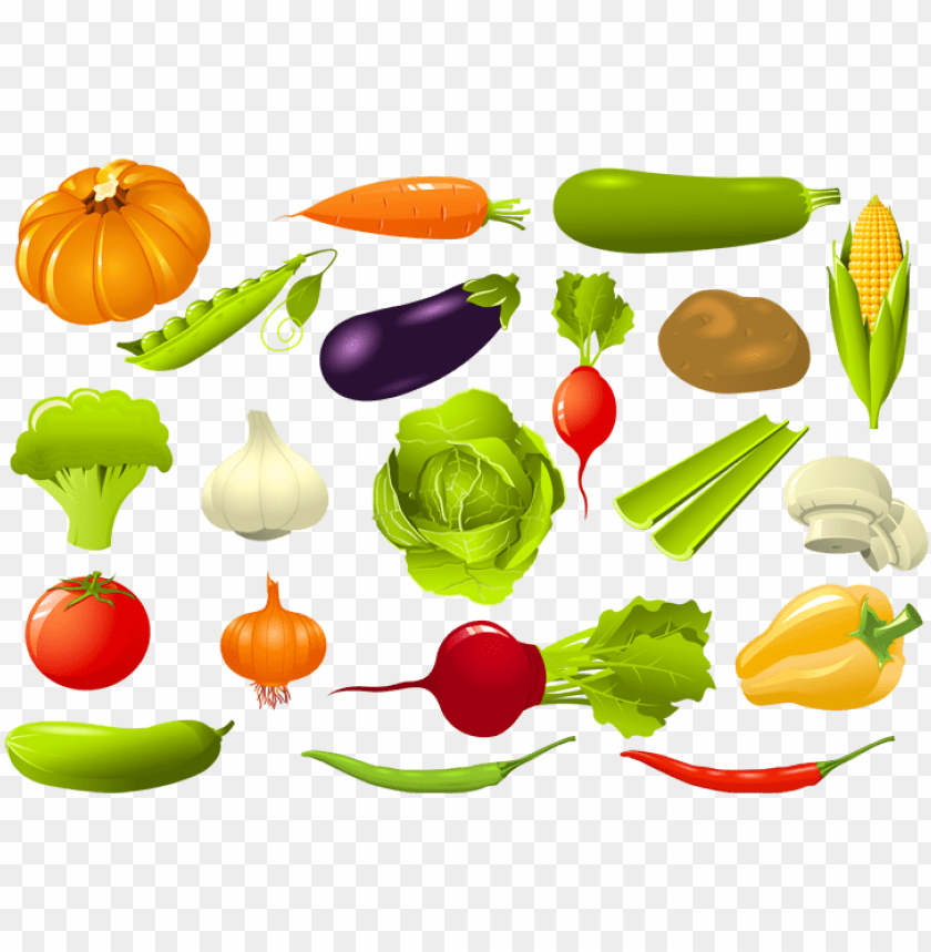 Free download | HD PNG vector vegetables PNG transparent with Clear ...