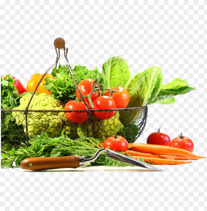 Free download | HD PNG vegetable PNG transparent with Clear Background ...
