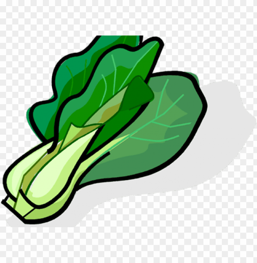 Free download | HD PNG vektor sawi PNG transparent with Clear ...