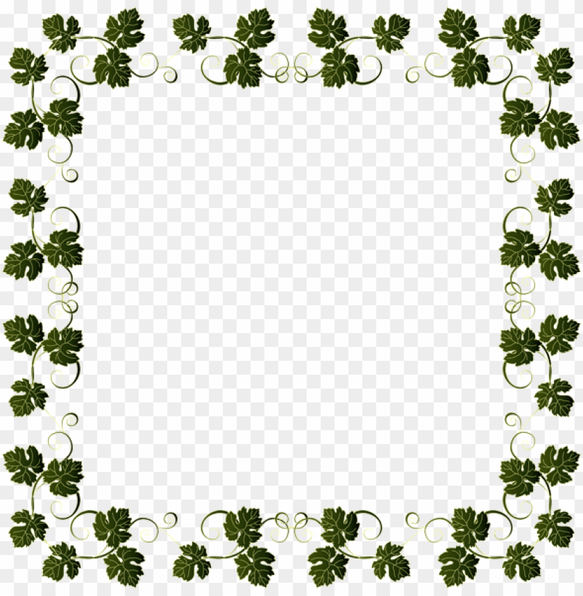Vine Design Png