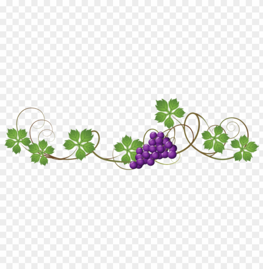 Free download | HD PNG vine decorationpicture clipart png photo - 45241 ...