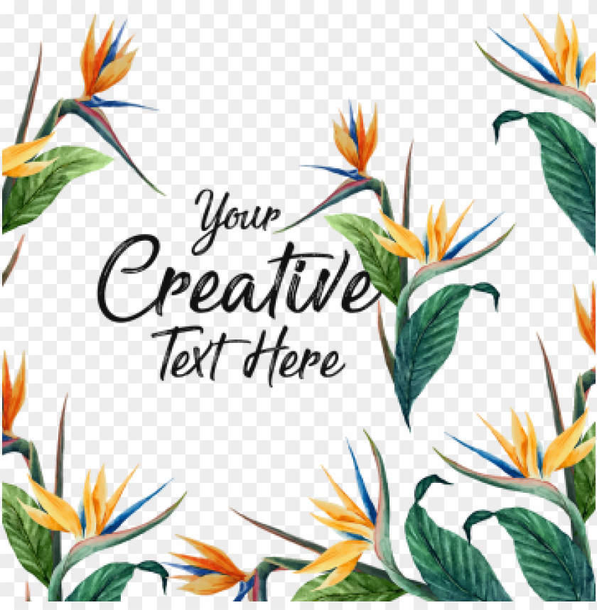 Free download | HD PNG vintage flower frame background with typography ...