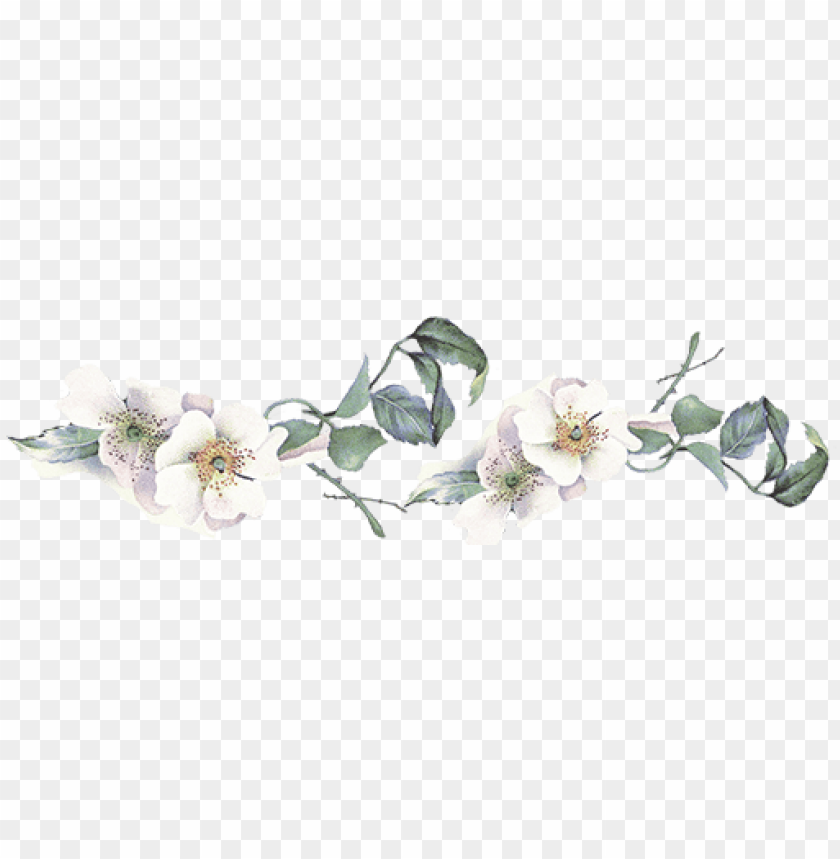 Free download | HD PNG vintage header PNG transparent with Clear ...