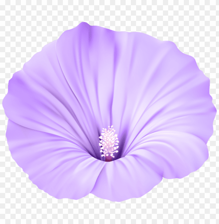 Free download | HD PNG PNG image of violet flower with a clear ...