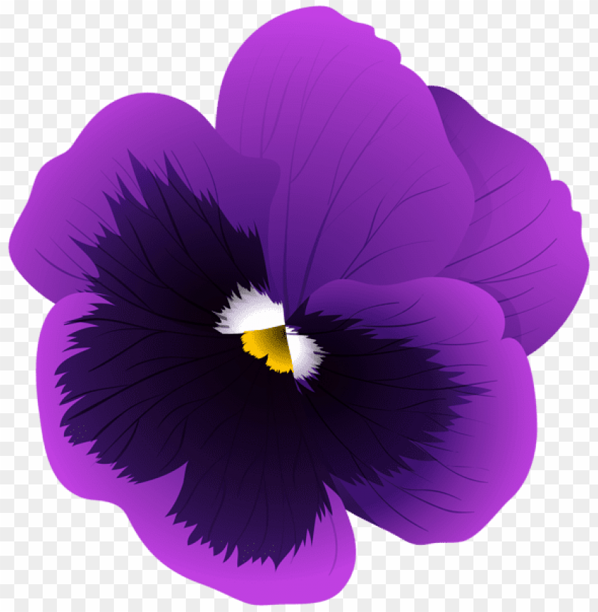 Free download | HD PNG PNG image of violet flower transparent with a ...