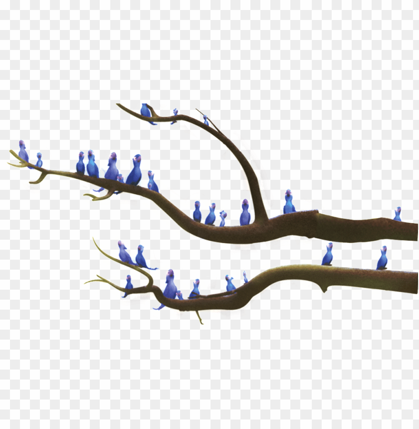 Free download | HD PNG wallpaper PNG transparent with Clear Background ...