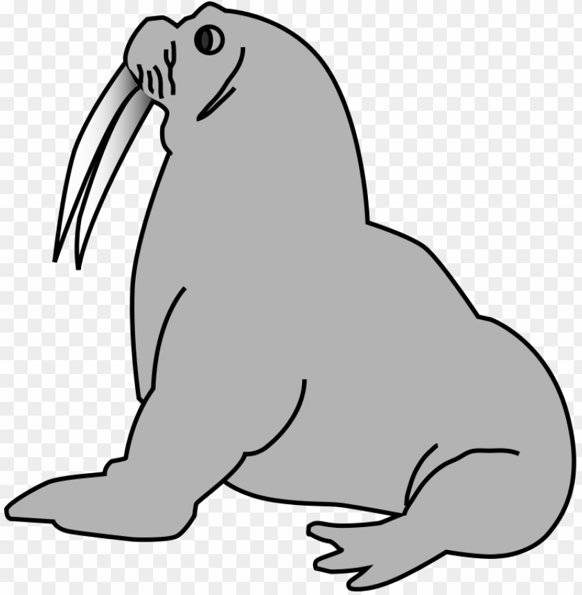 Free download | HD PNG gray walrus cartoon illustration with tusks png ...