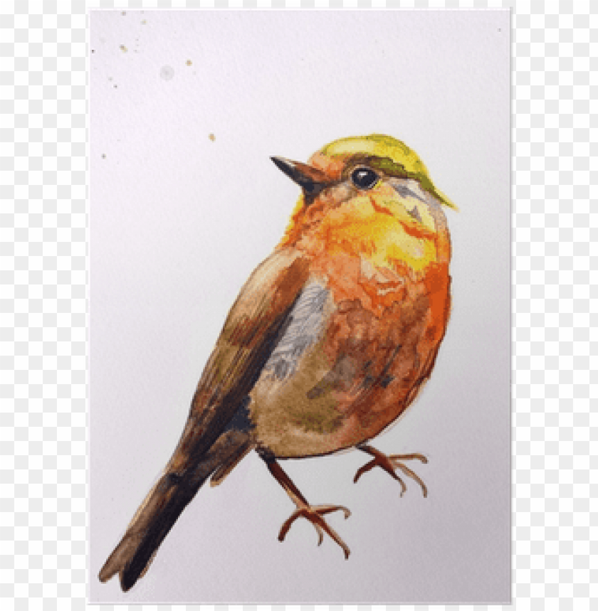 Free download | HD PNG water colour painting bird fly PNG transparent ...