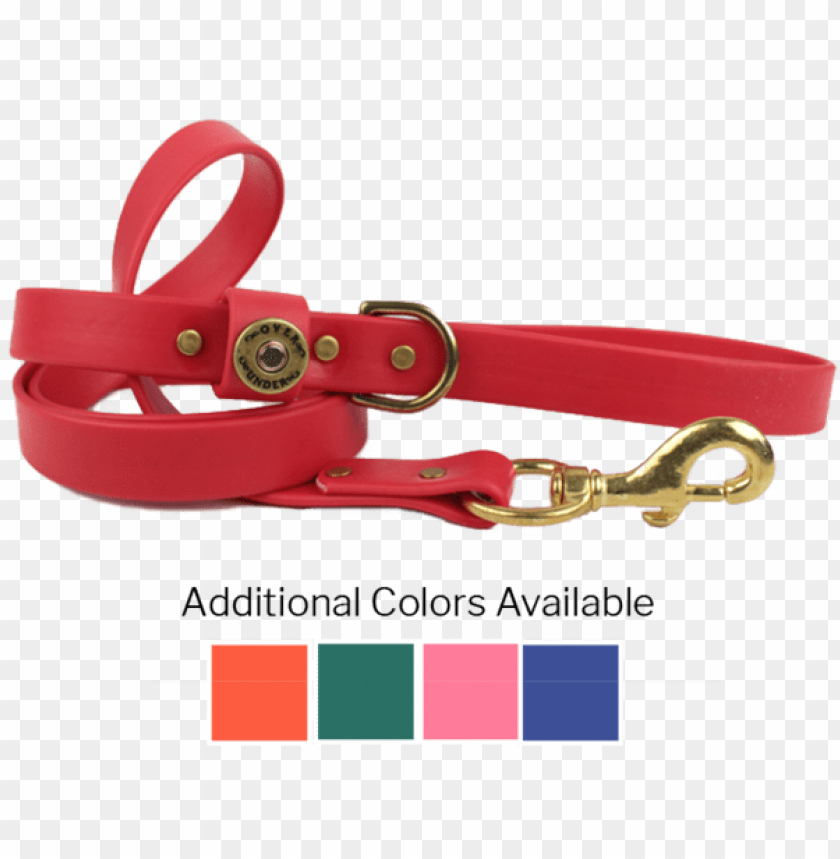 Free download | HD PNG water dog leash do PNG transparent with Clear ...