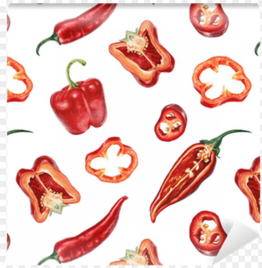 Free download | HD PNG watercolor chili and red pepper pattern ...