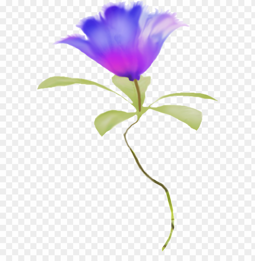 Free download | HD PNG watercolor flower blue flowers border PNG ...