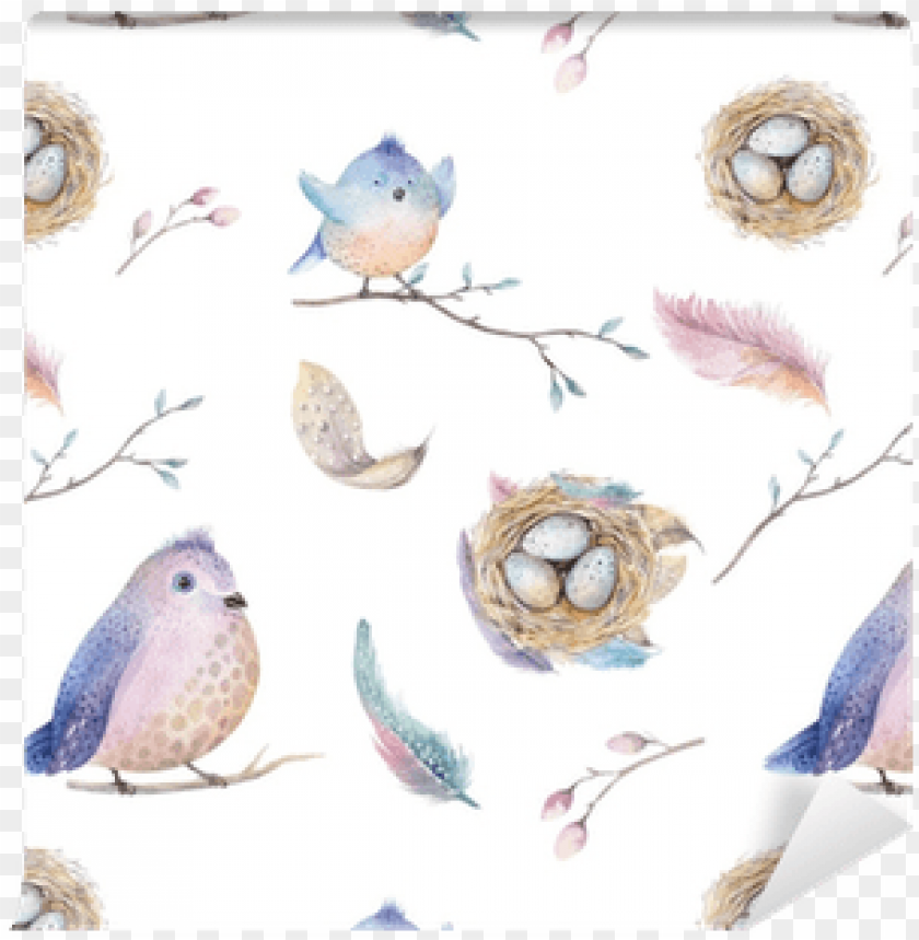 Free download | HD PNG watercolor illustrations spring PNG transparent ...