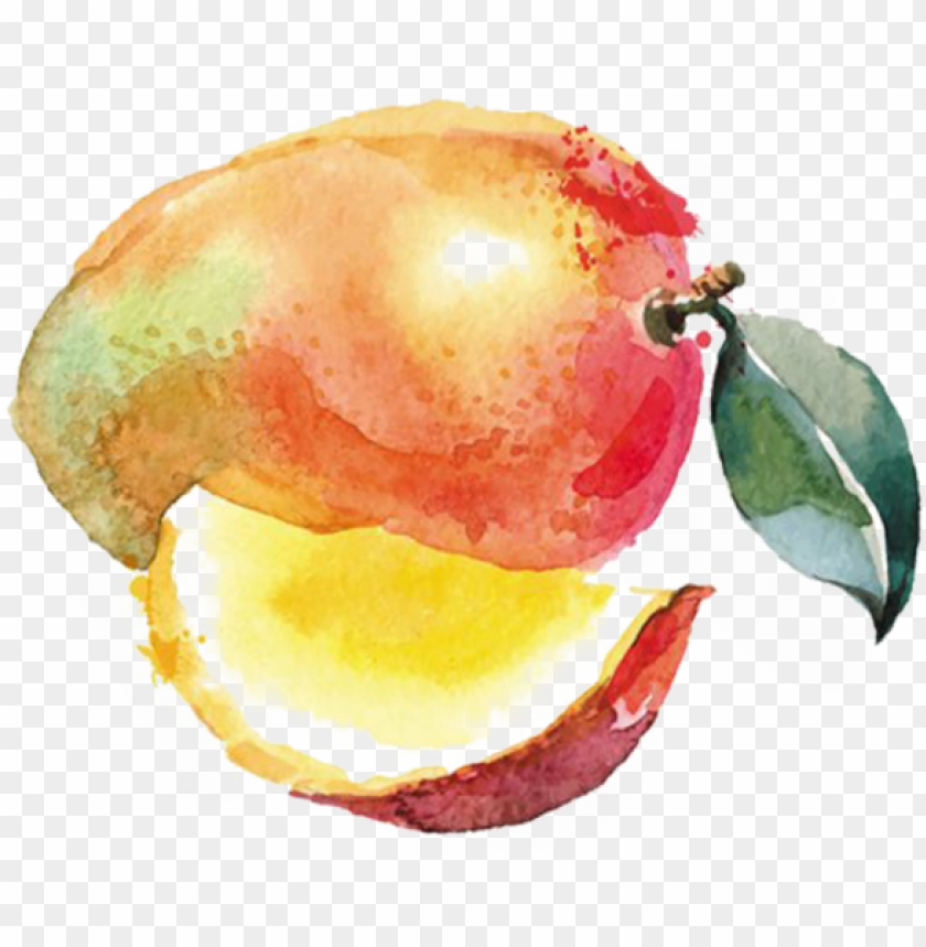 Free download | HD PNG watercolor paintings fruits and vegetables PNG ...