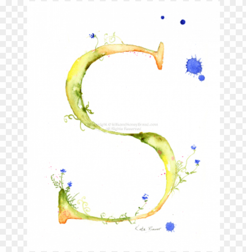 Free download | HD PNG watercolour monogram letter s PNG transparent ...