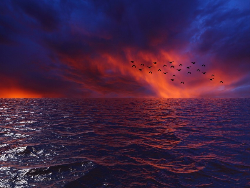 Sea Horizon Sky Sunset Sun cutout PNG & clipart images | TOPpng Sea Horizon Sky Sunset Sun cutout PNG & clipart images | TOPpng