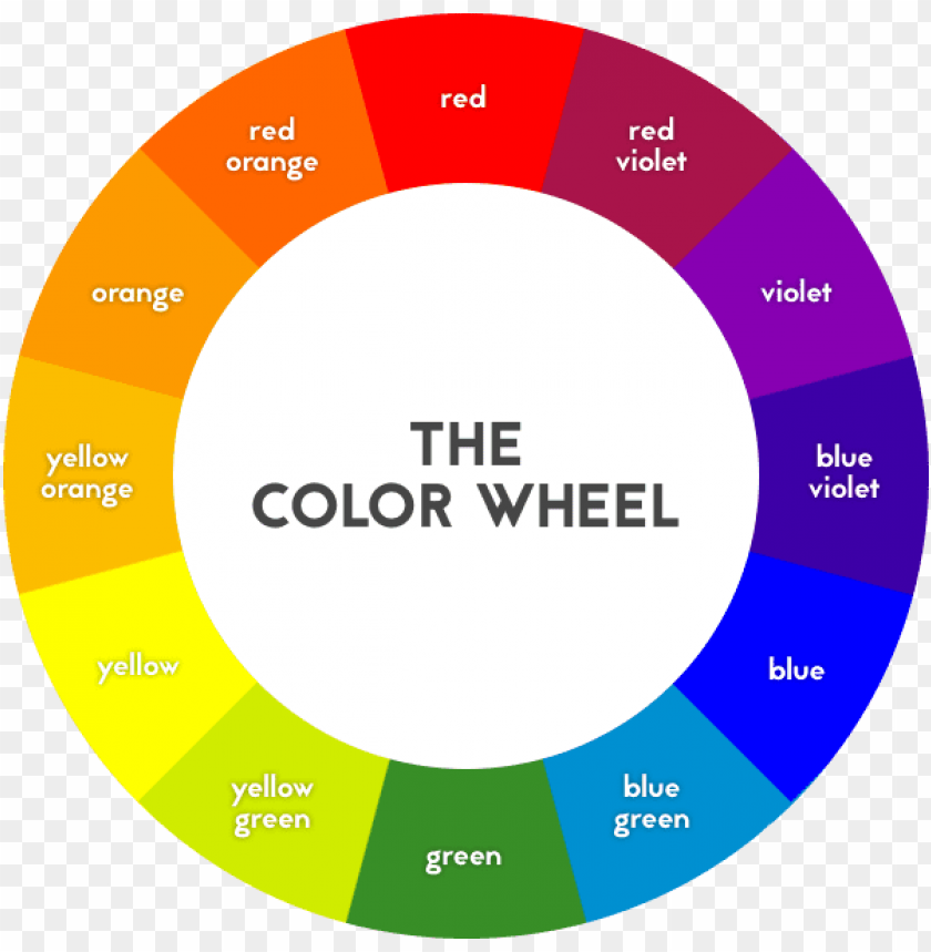 Free download | HD PNG web design basics indianapolis color wheel PNG ...