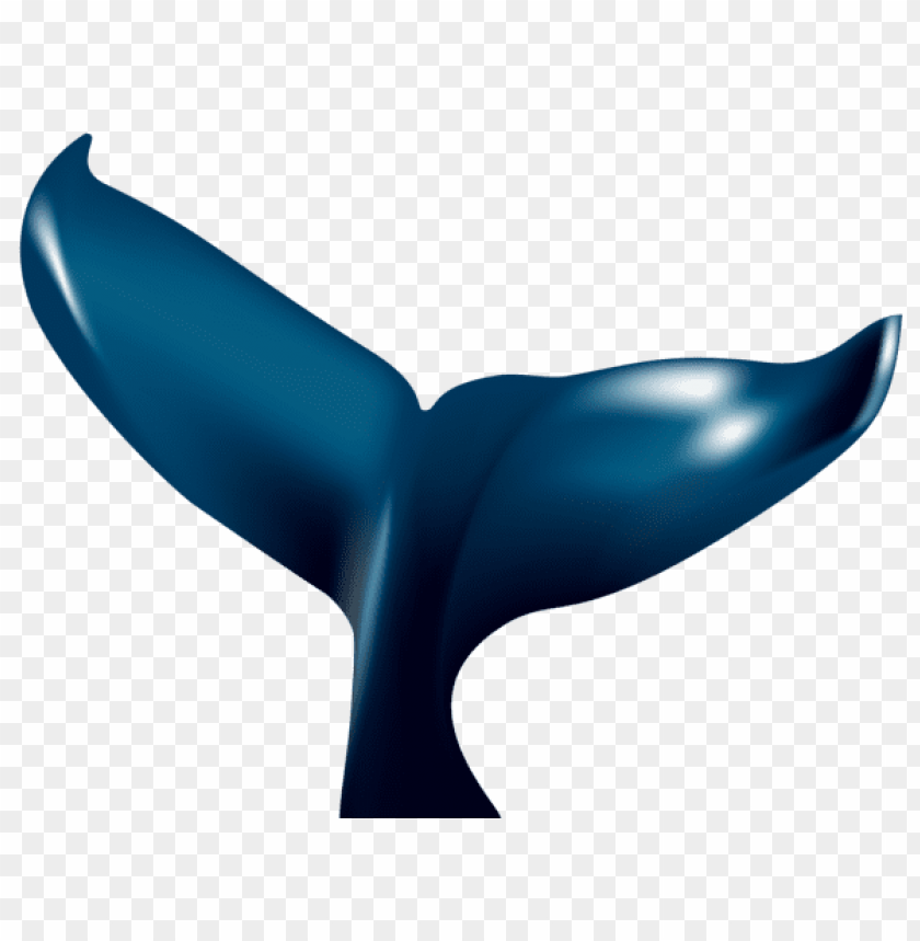Free download | HD PNG whale tale clipart png photo - 53280 | TOPpng