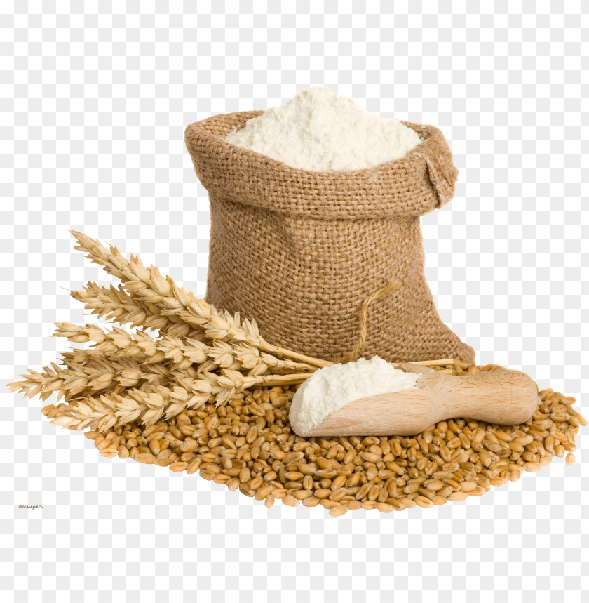 Free download | HD PNG PNG image of bags of flour with wheat stalks on ...