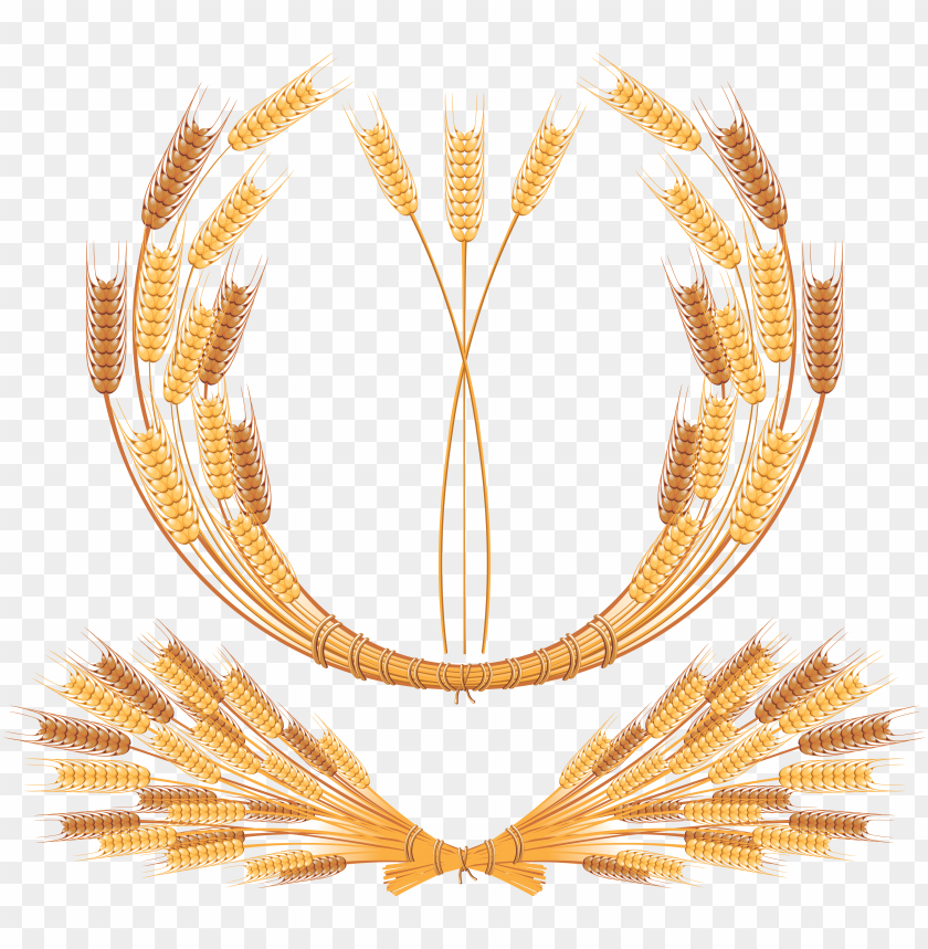 Free download | HD PNG Download wheat png images background | TOPpng