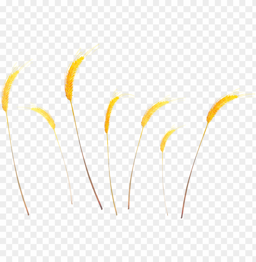 Thin Icons cutout PNG & clipart images | TOPpng