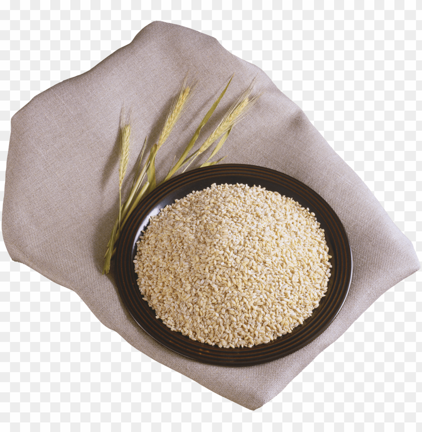 Free download | HD PNG PNG image of wheat with a clear background ...