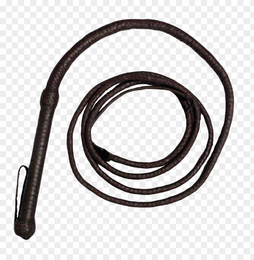 Free download | HD PNG Transparent Background PNG of whip - Image ID ...