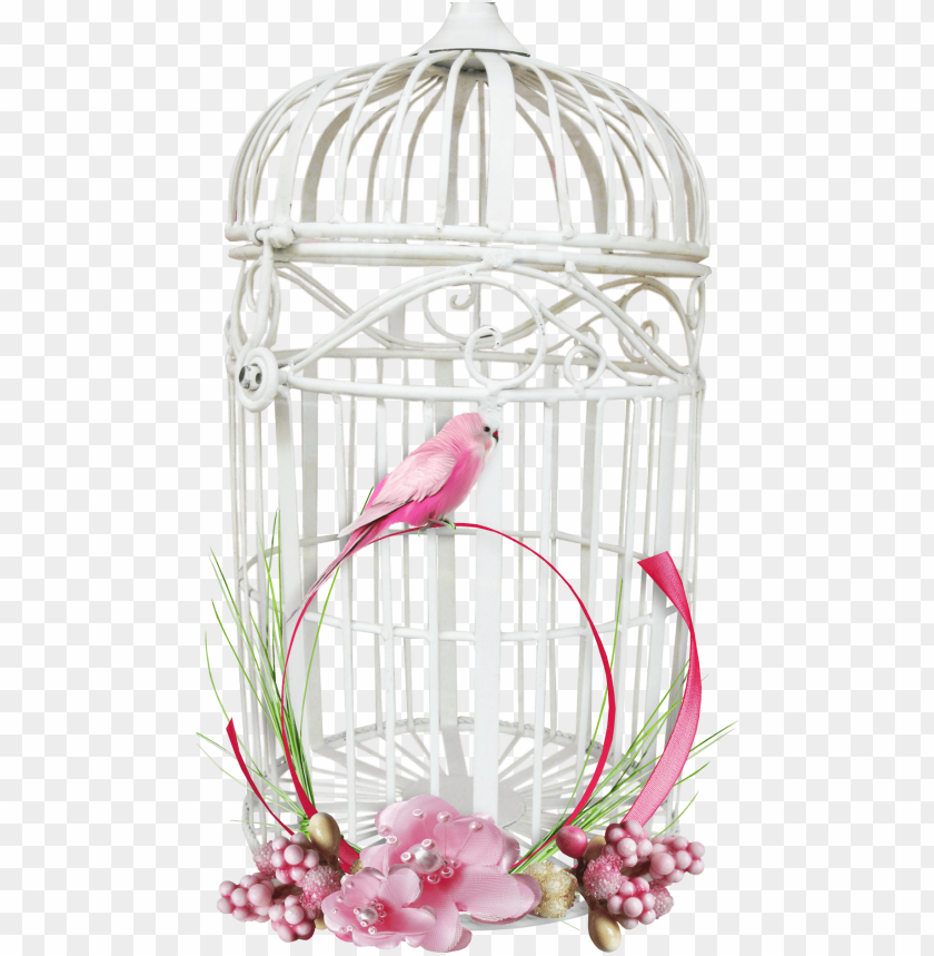 Free download | HD PNG Transparent Background PNG of white bird cage ...