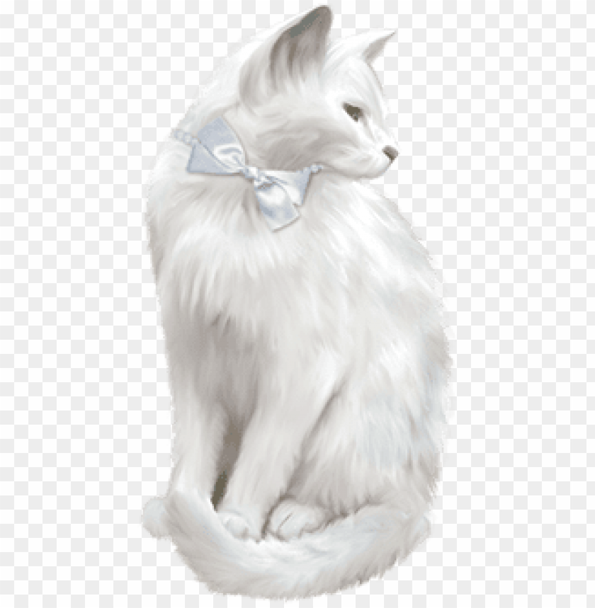 Free download | HD PNG white cat | TOPpng