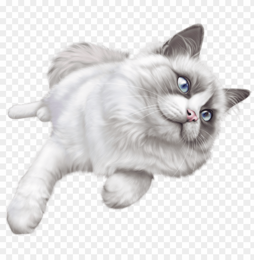 Free download | HD PNG white cat clipart png photo - 30934 | TOPpng