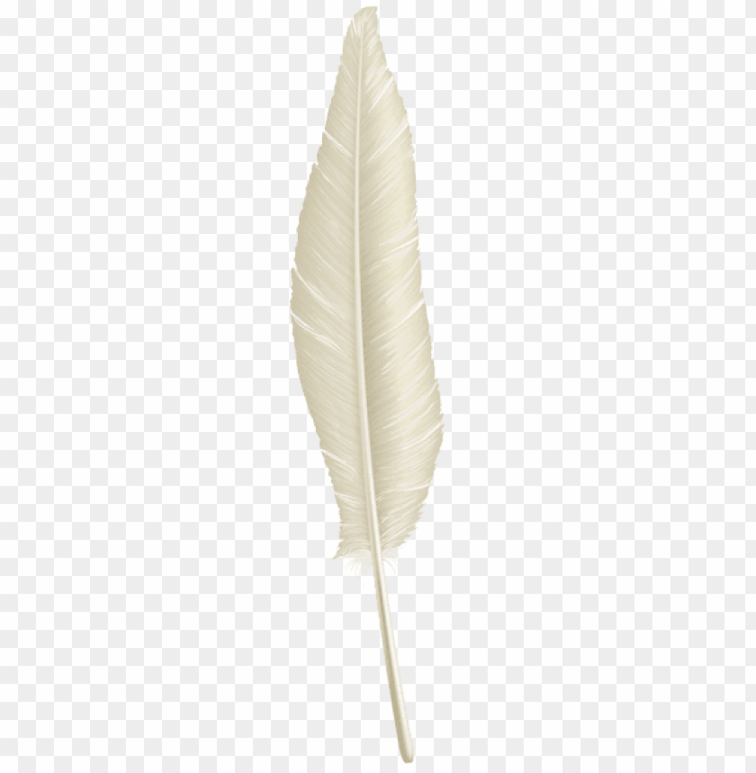 Free download | HD PNG white feather transparent clipart png photo - 45409 | TOPpng