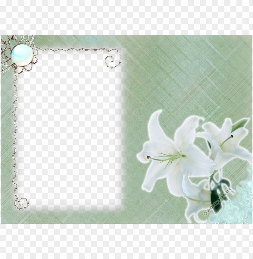 White Frames cutout PNG & clipart images | TOPpng
