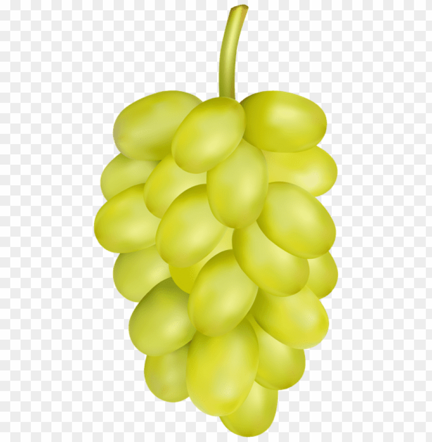 Free download | HD PNG golden yellow grapes with vine | TOPpng