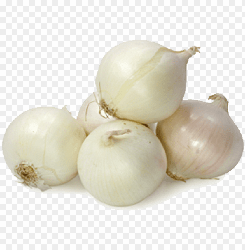Free download | HD PNG white onion png small white onio PNG transparent ...