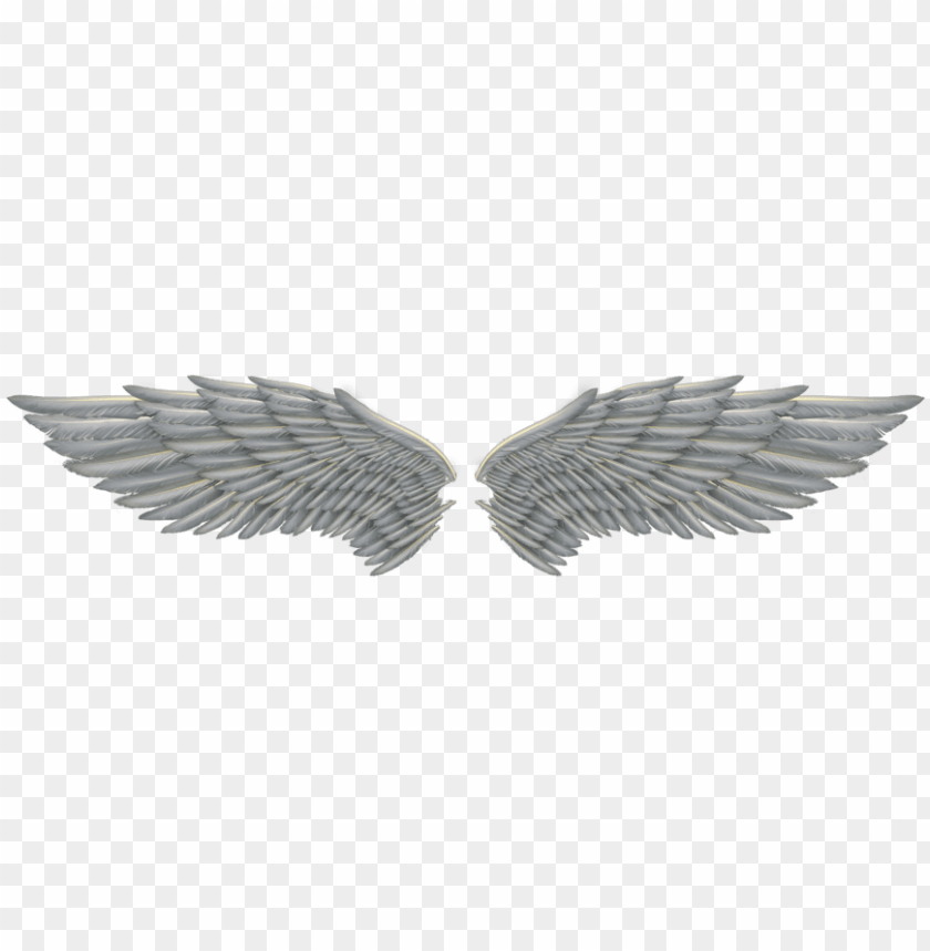 Free download | HD PNG white png image arts transparent angel wing PNG ...