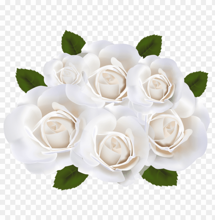 Free download | HD PNG PNG image of white roses png with a clear background - Image ID 43440 ...